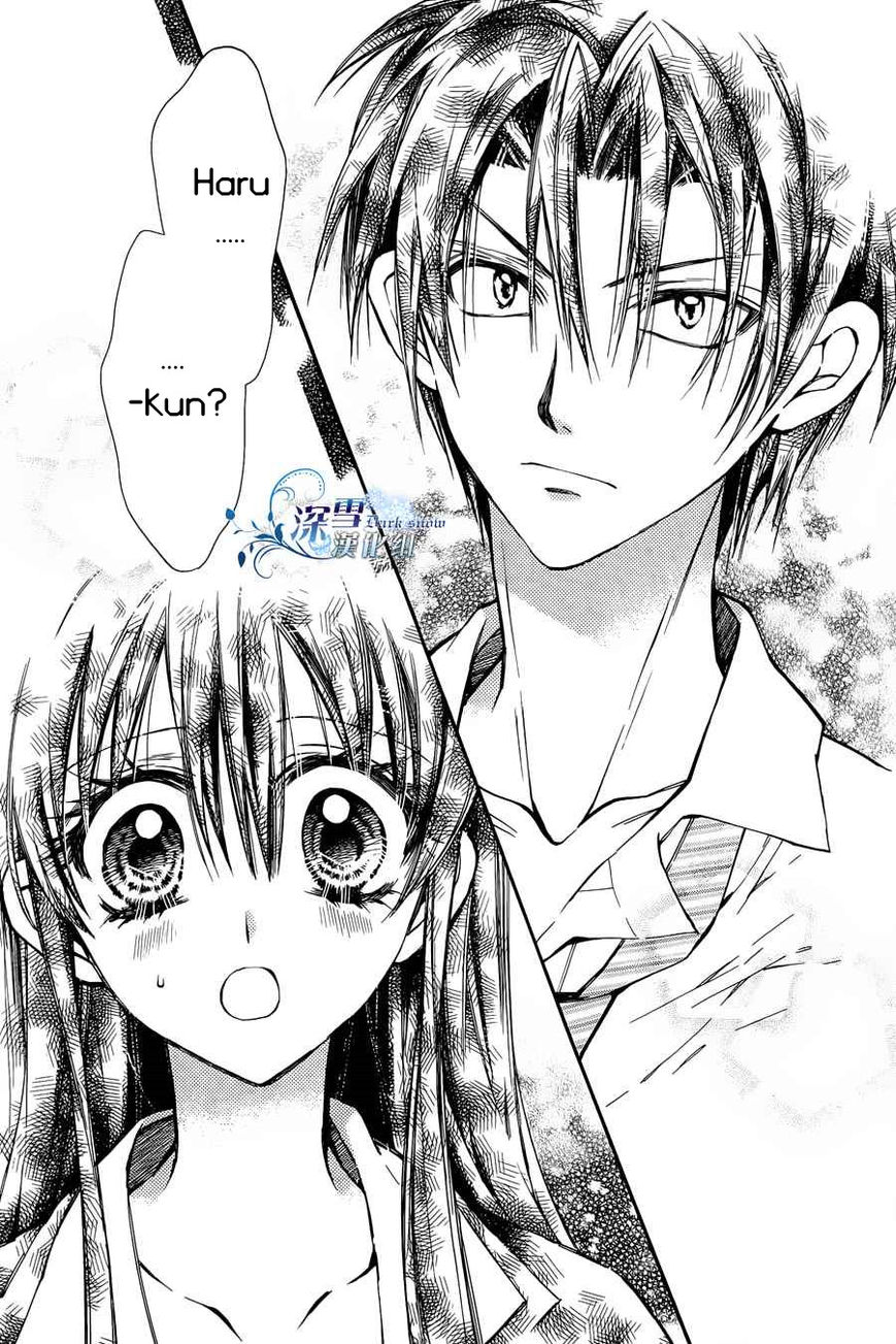 Arina Dreams ATH Bowl Phunnel, Arina Rodonit | Shisha Dreams